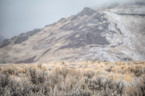 Green Flame Interview with Max Wilbert, Will Falk, and Rebecca Wildbear ...